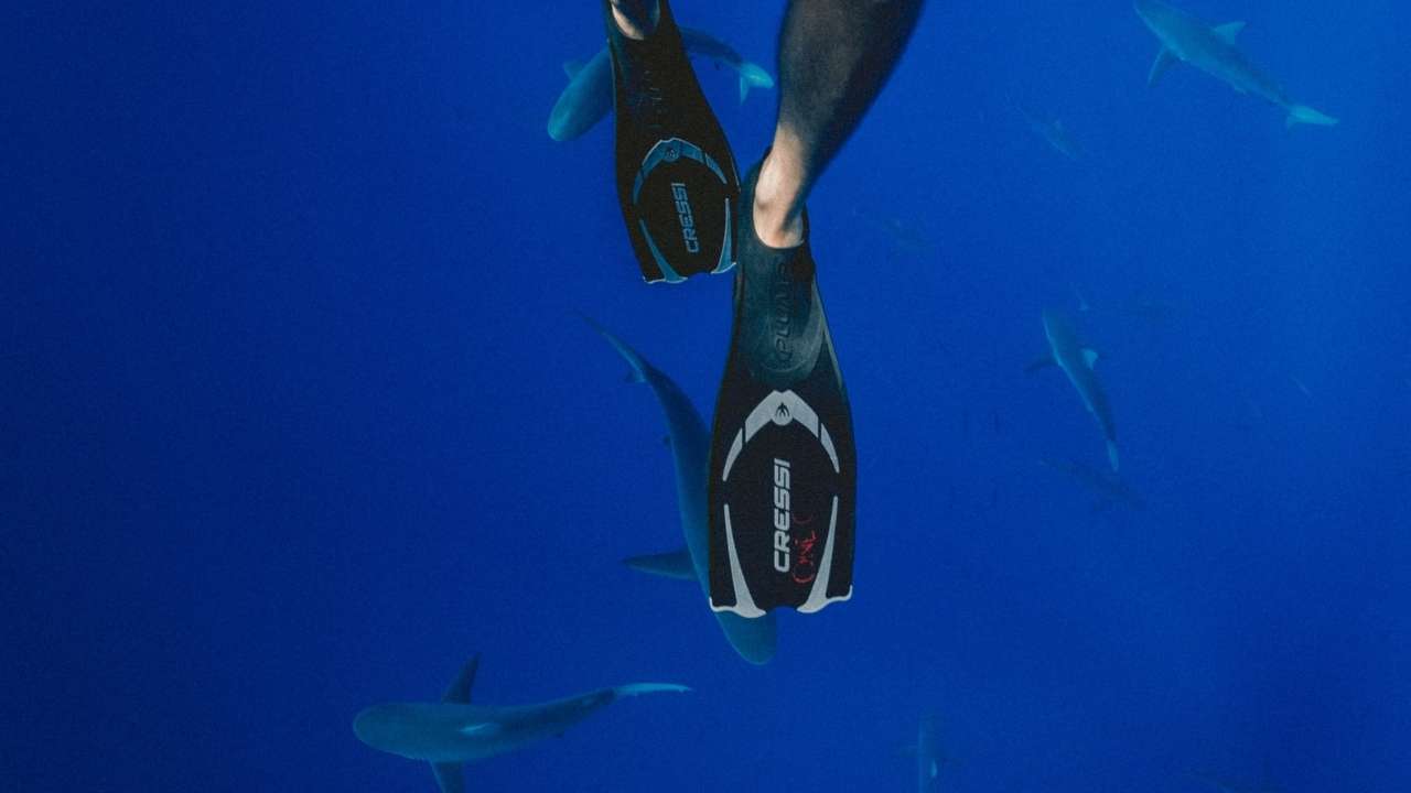 How Do I Choose the Right Bodyboard Fins?
