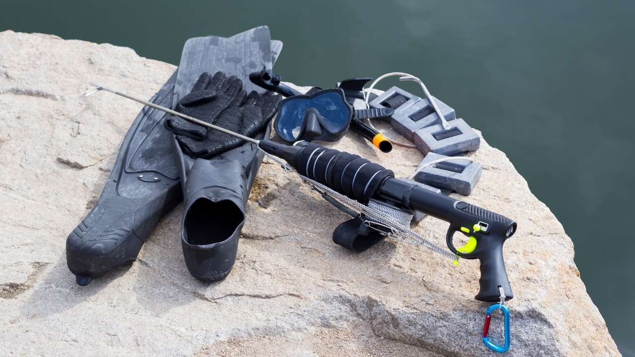 Spearfishing For Beginners: Everything You Need To Start Spearfishing