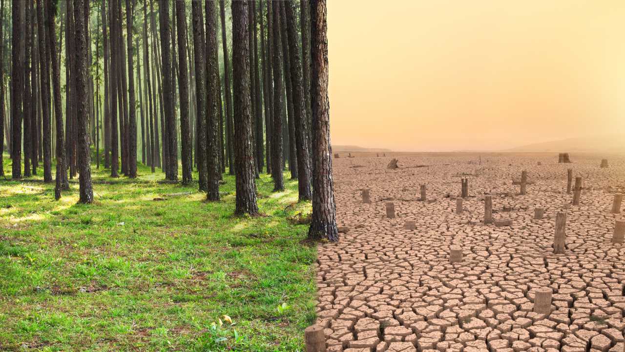 Logarithmic Charts In Environmental Science: Picturing The Impact Of ...